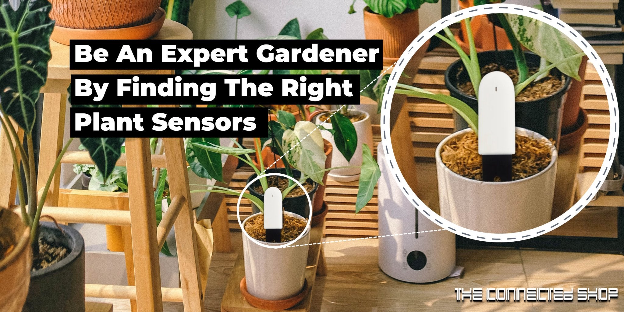 Be An Expert Gardener By Finding The Right Plant Sensors