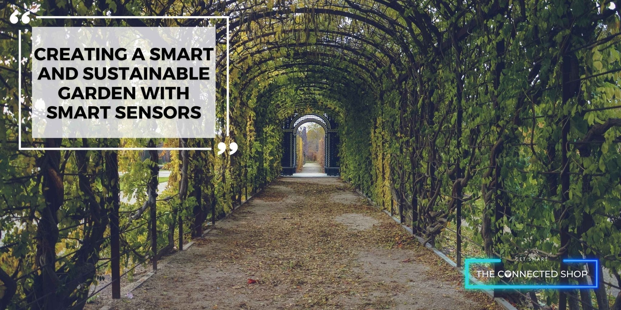 Creating a Smart and Sustainable Garden with the help of Smart Sensors