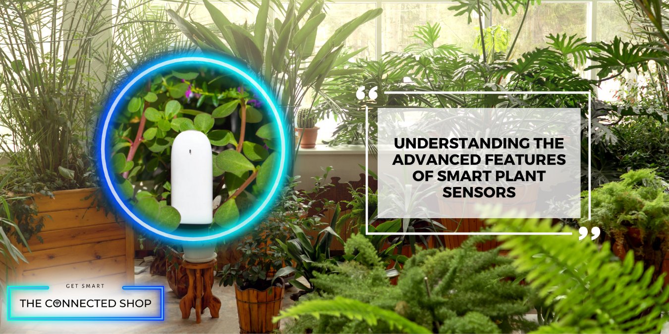 Maximize Your Green Thumb: Top Tips for Using Smart Plant Sensors – The ...