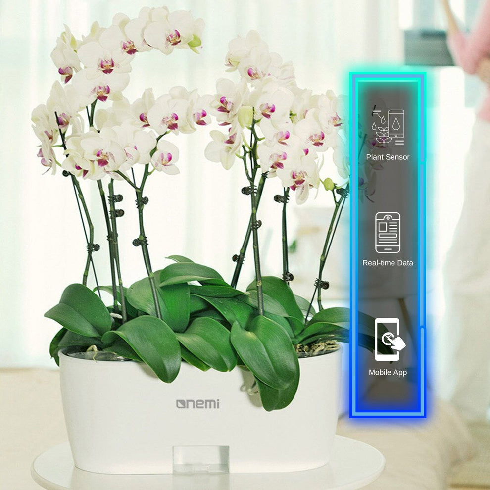 Self Watering Smart Planting Pot - Smart Planting Pot to Monitor Plants ...