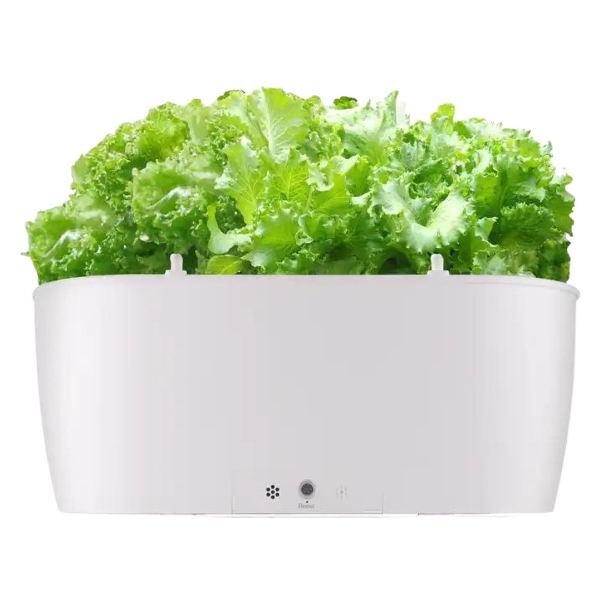 Self Watering Smart Planting Pot - Smart Planting Pot to Monitor Plants ...