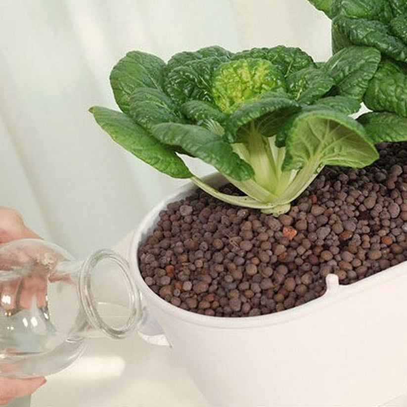 Self Watering Smart Planting Pot - Smart Planting Pot to Monitor Plants ...