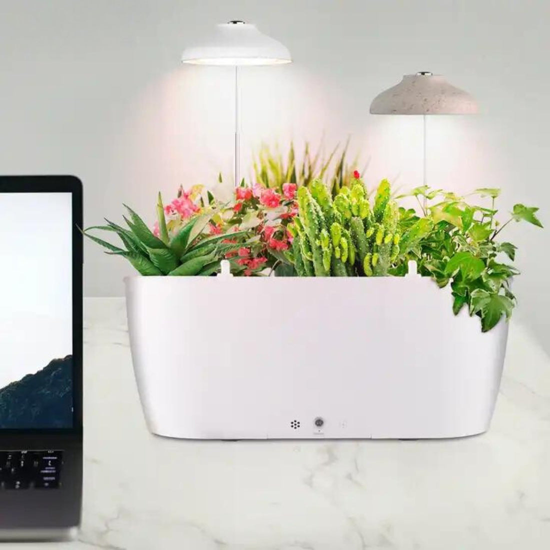 Self Watering Smart Planting Pot - Smart Planting Pot to Monitor Plants ...