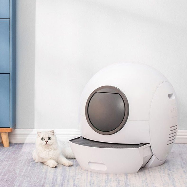 Smart Cat Litter - Self Cleaning Smart Cat Litter Sandbox with Mobile ...
