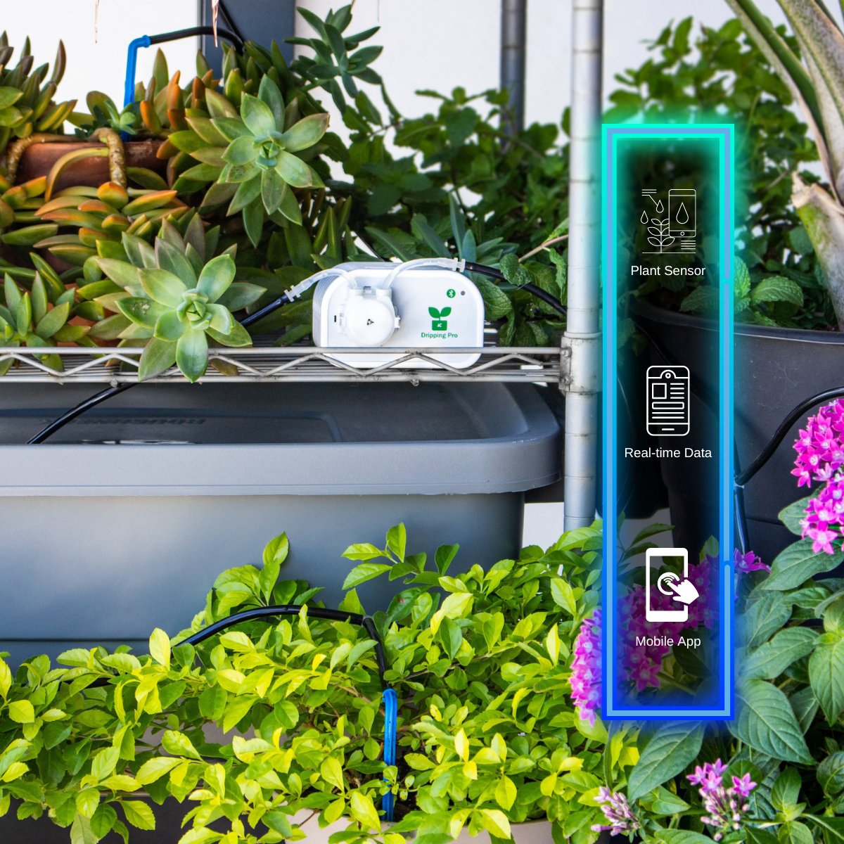 Smart Drip Irrigation System - Automatic Plants Drip Watering ...