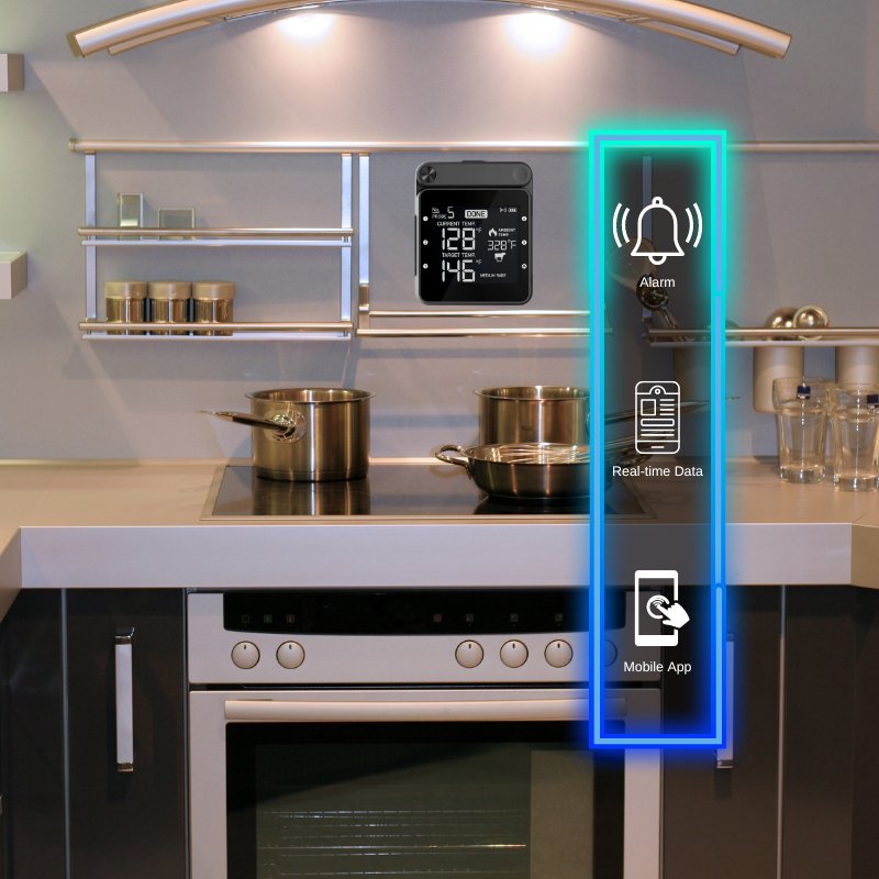 Smart Oven Thermometer - Monitor Cooking, Smart Oven Thermometer and ...