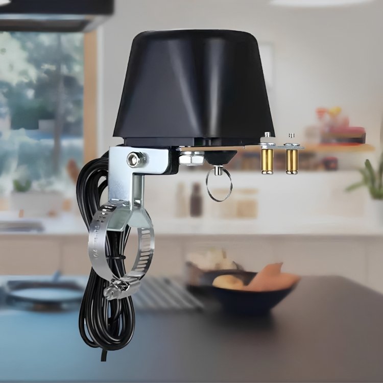 Smart Valve Control - Water Valve Controller with Mobile App – The ...